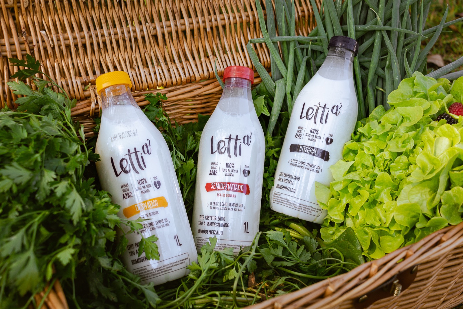 Letti A² é a primeira marca de leite do Brasil a receber o selo ...